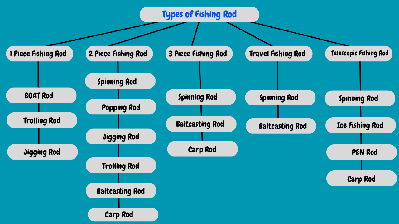 Types of Fishing Rods - Best Information for Anglers - BARRA HUNTER