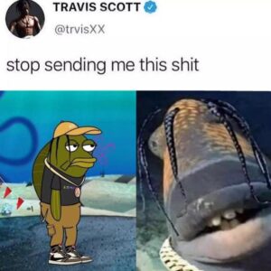 Travis Scott Fish: Very Popular Fish for memes, and Its Origins ...