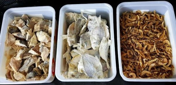The Ancient Art of Dried Fish: Techniques, Benefits, and Recipes ...