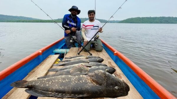 The Best Fishing Seasons: When and Where to Fish for Different Species ...