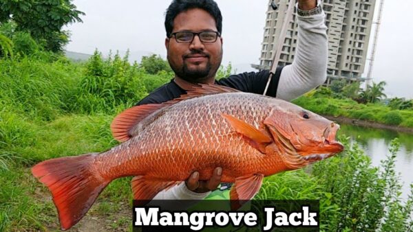 The Best Fishing Seasons: When and Where to Fish for Different Species ...